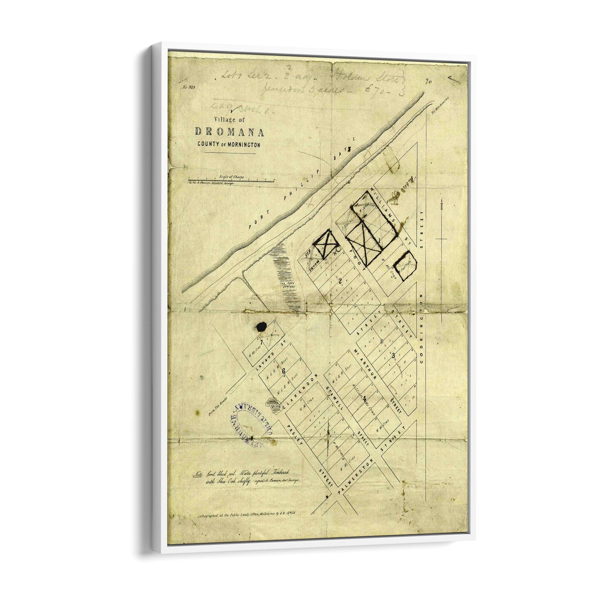 1858 Vintage Map of Dromana, Victoria – Vintage Maps