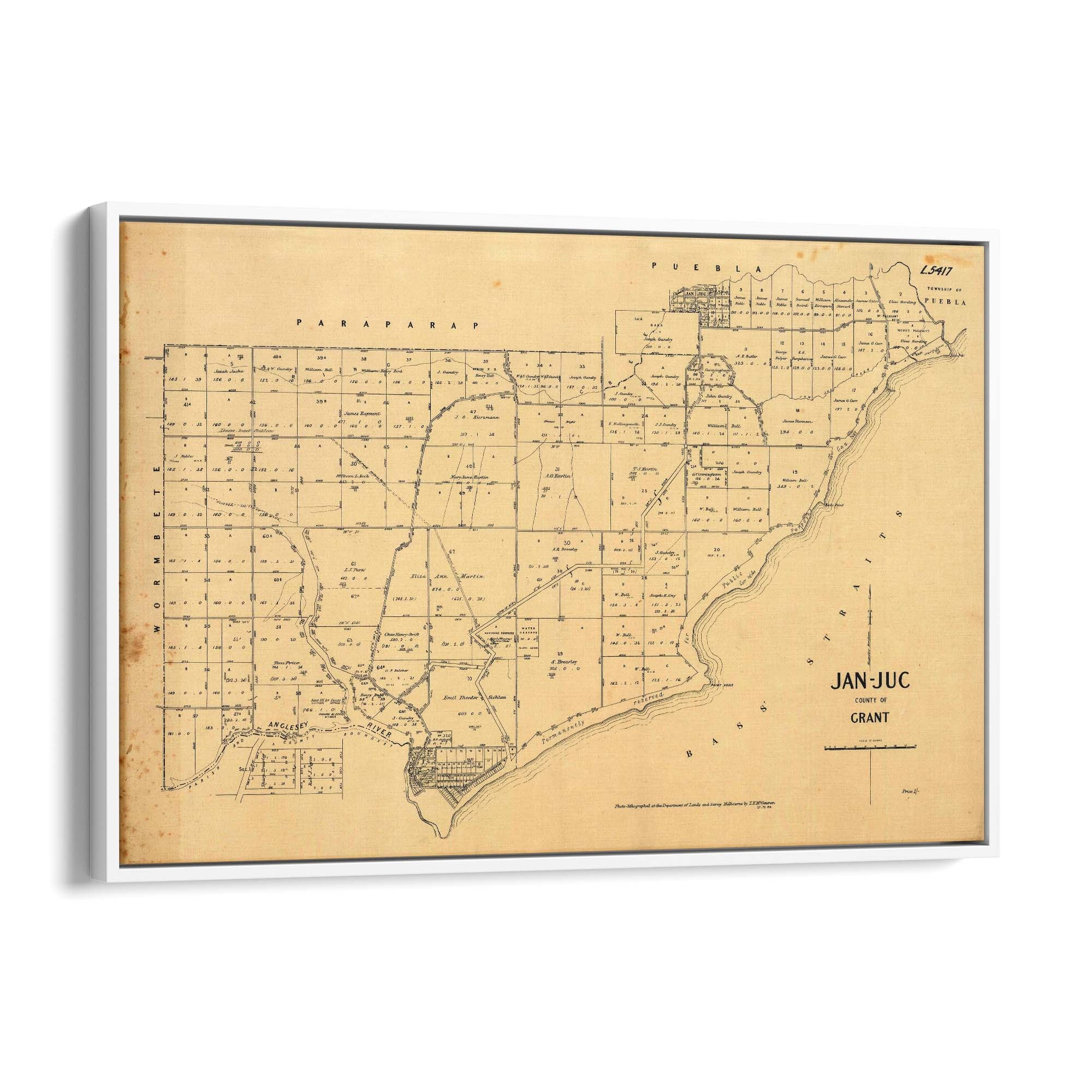 1889 Vintage Map of Anglesea, Victoria Australia – Vintage Maps